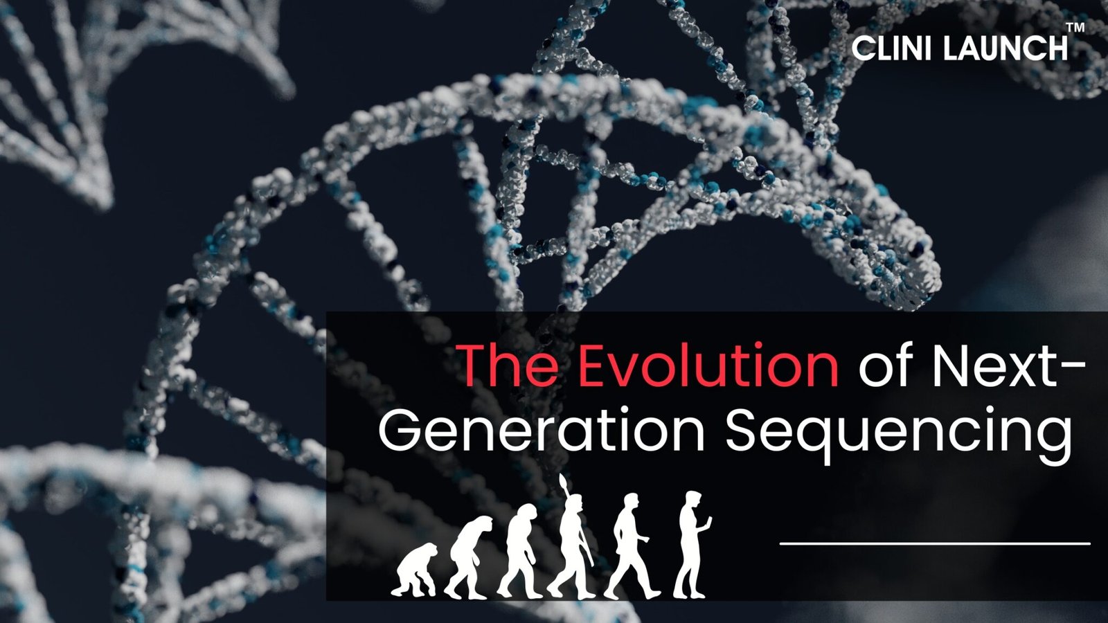 Next Generation Sequencing: Diving Deep into Genetics 2025